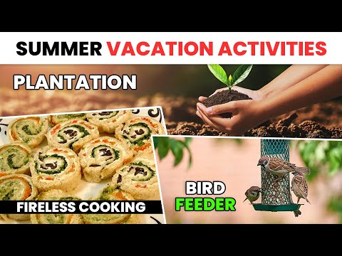 Summer Vacation Activities | What to Do in Summer Vacation at Home 😃 ...