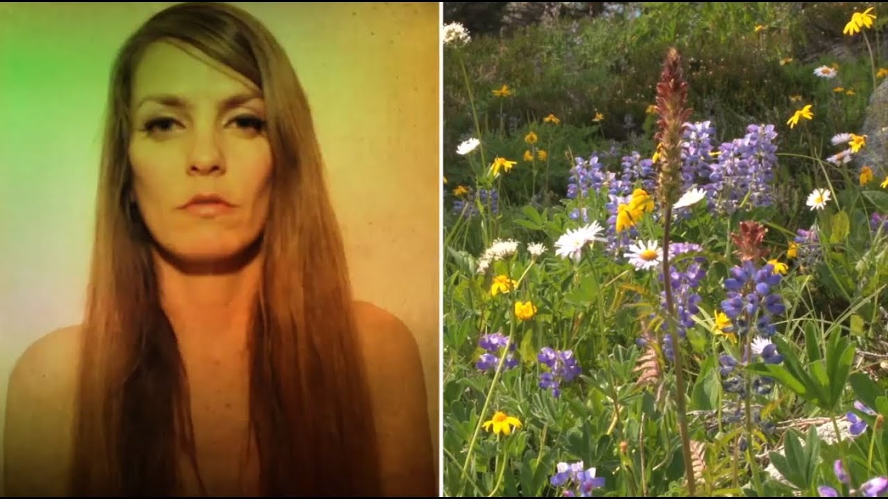 Circe Link - Natures Way (Spirit) - YouTube