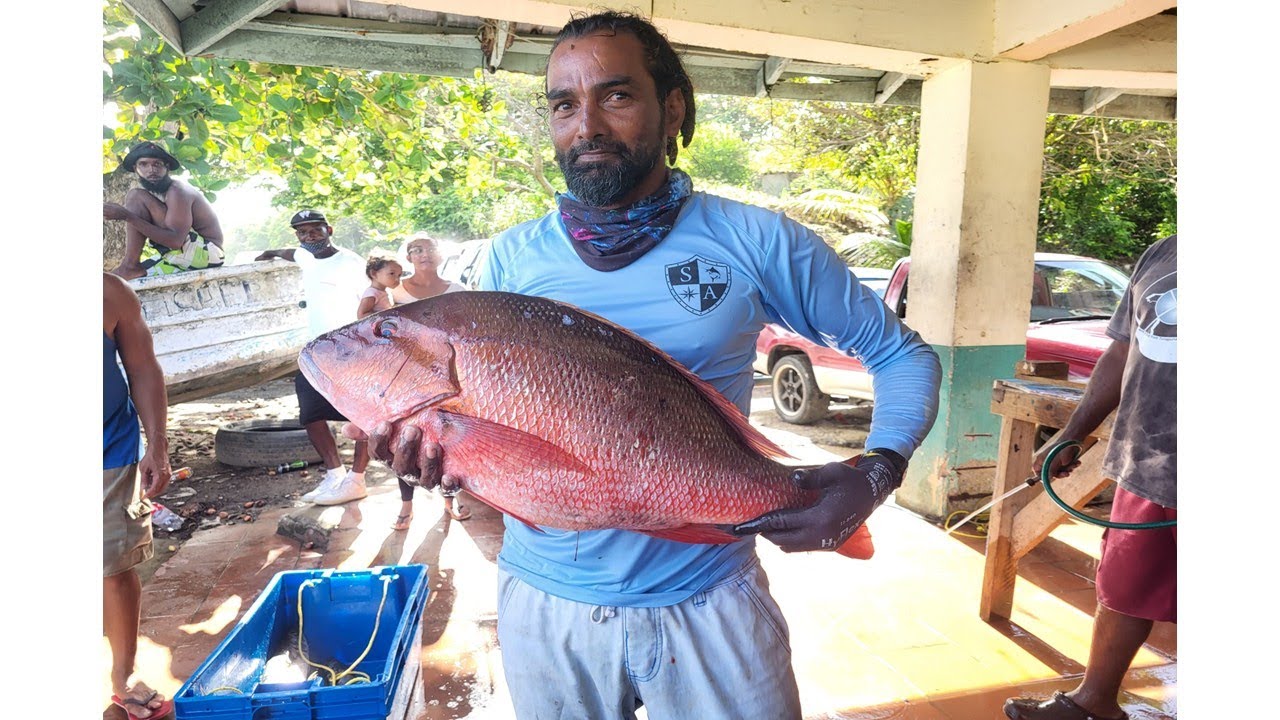 Troll Fish Fishing Competition, Part 1 - YouTube