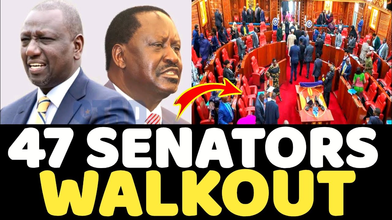 Angry 47 SENATORS Walked Out On RUTO & Raila Live On Camera! - YouTube