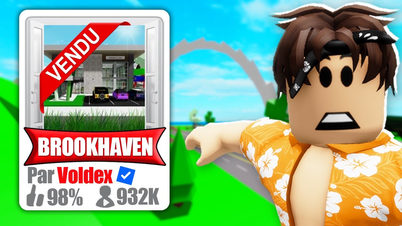 WOLFPAQ ARRÊTE ET A VENDU LE JEU BROOKHAVEN SUR ROBLOX - YouTube