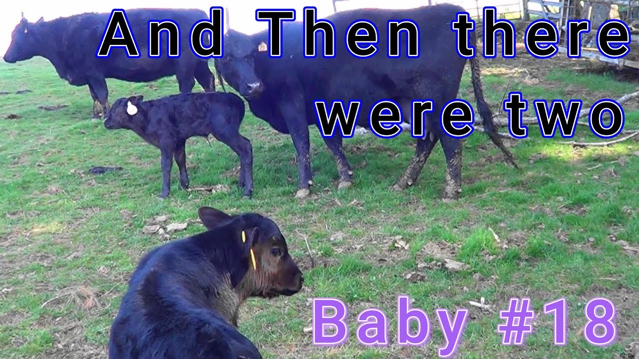 And then there were two. - YouTube