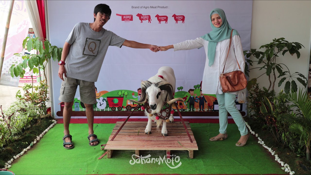 Coke Pit - Tasikmalaya Punya Cerita Slideshow SAHANUMOTO - YouTube