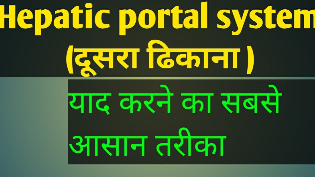 Hepatic portal system | blood circulation || portal system - YouTube