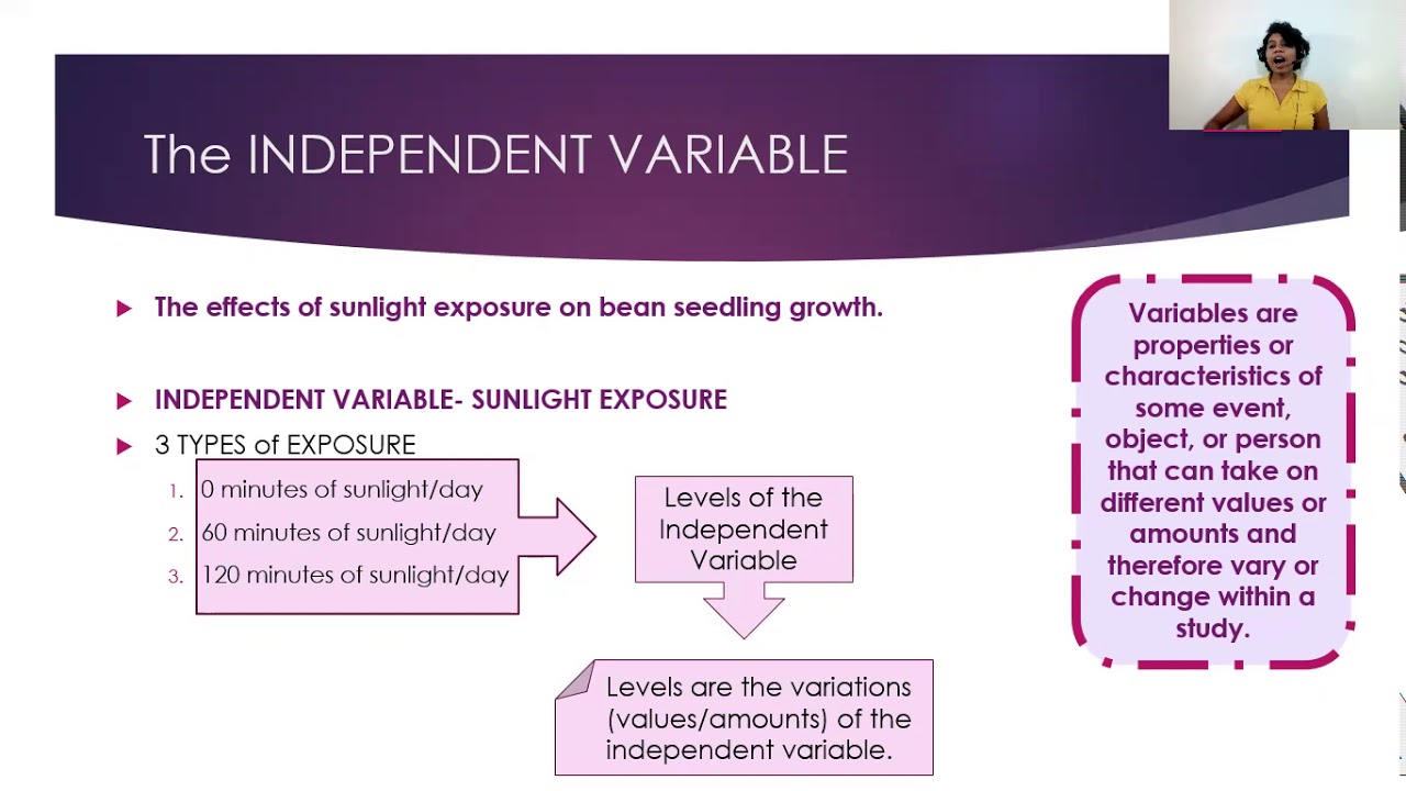 Levels Of The Independent Variable YouTube Levels Of The Independent Variable YouTube