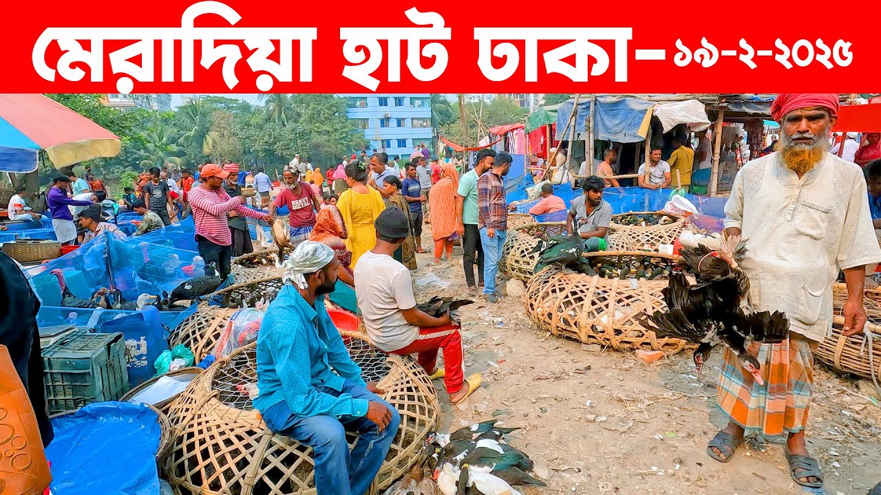 মেরাদিয়া হাট ঢাকা || Village Market || Hat Bazar || Village Market In Bangladesh || Live ...