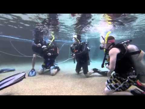 Deep Sea Divers Den - YouTube