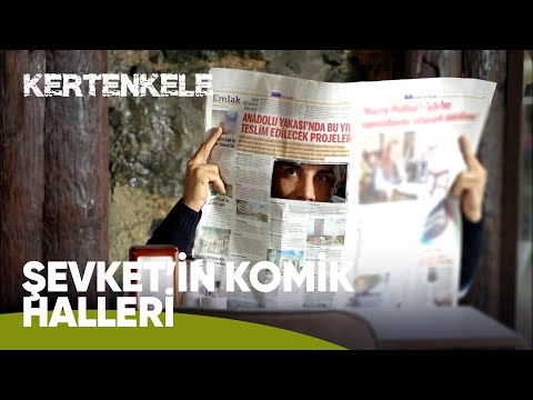 Bir sevda uğruna başını ne belalara soktu😂 | Kertenkele🦎 Özel Kolaj