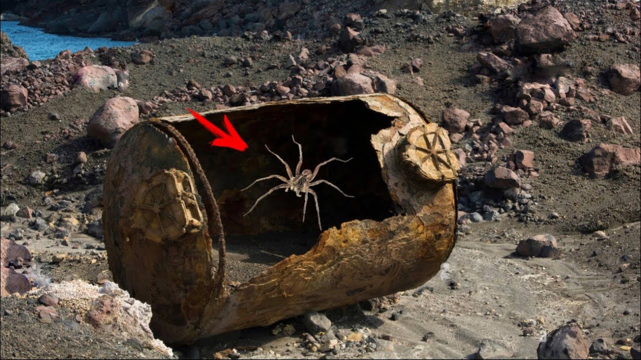 Mars perseverance rover capture Barrel is fragile because of its age in ...