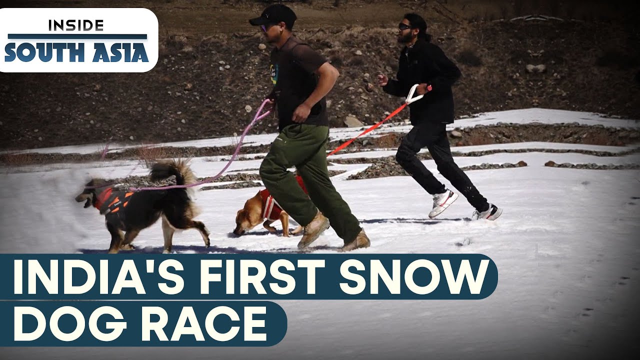 A furry SNOW MARATHON | A 'paw'fect race in the Himalayas | Inside ...