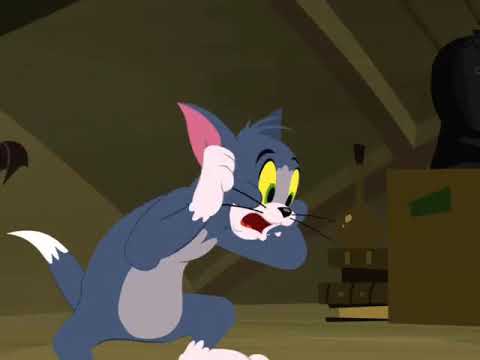 The Tom and Jerry Show Season 1 Episode 14 Vampire Mouse - YouTube