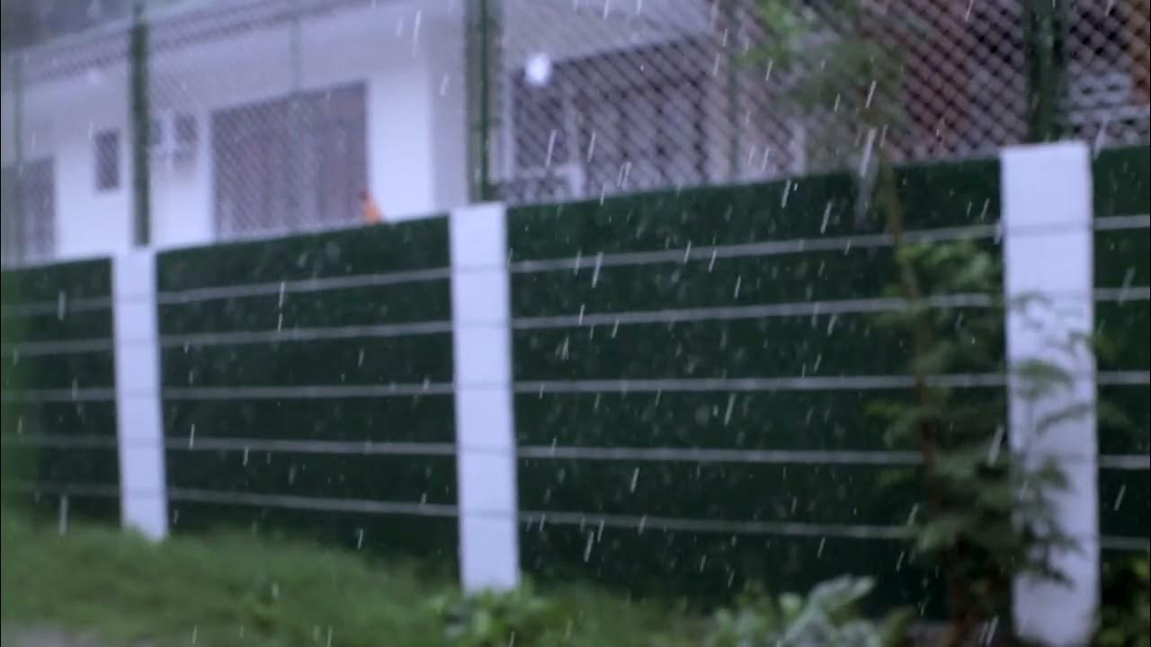The Sound Of Rain Meditation Autogenc Training Deep Sleep Relaxing