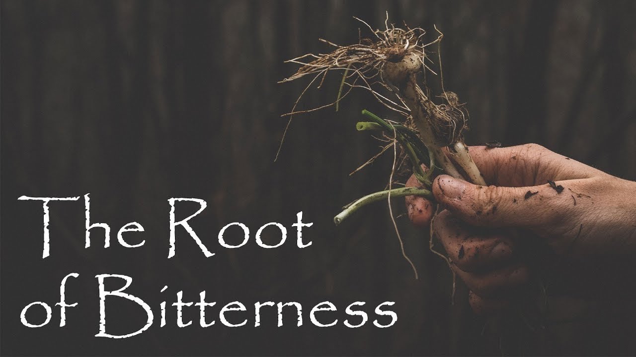 The Root of Bitterness - YouTube