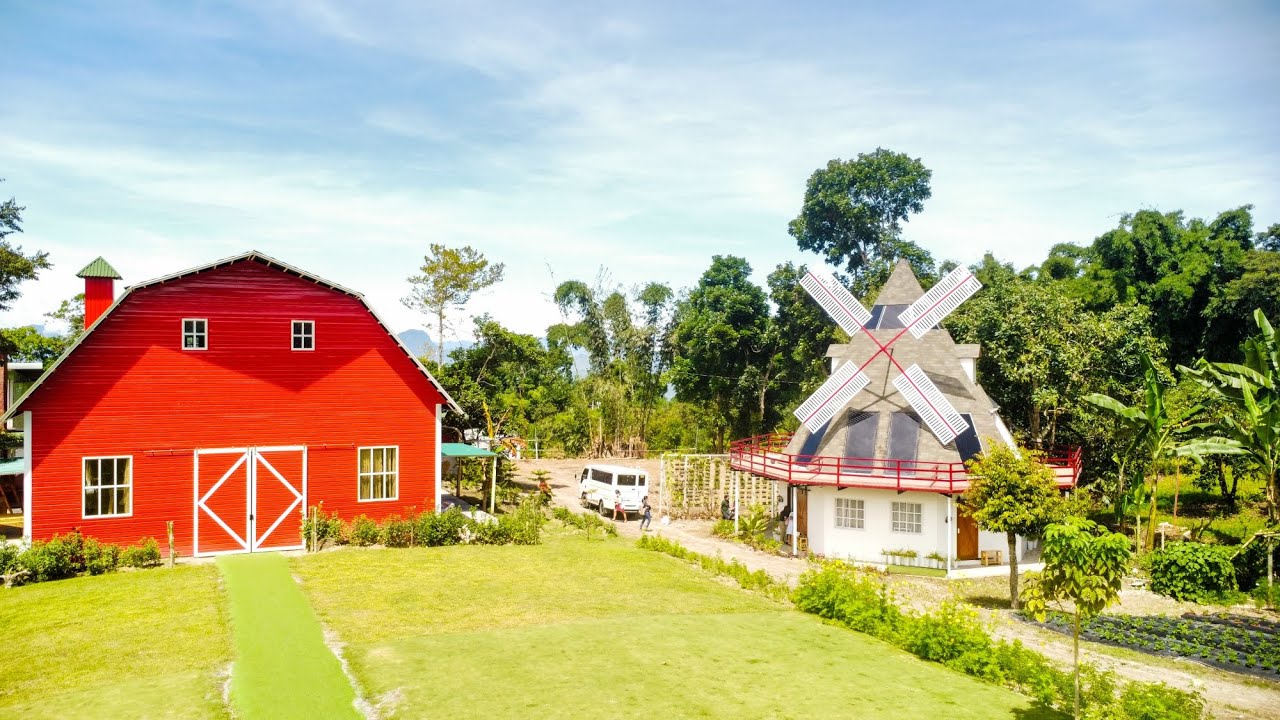 strawberry guyabano "sg farm", tupi, south cotabato - YouTube