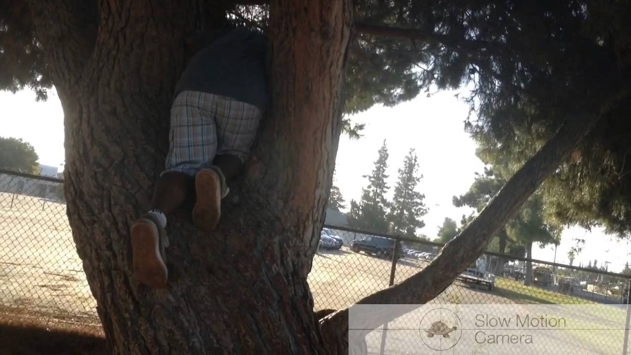 Lame tree slips part 3 he is stuck slow motion - YouTube