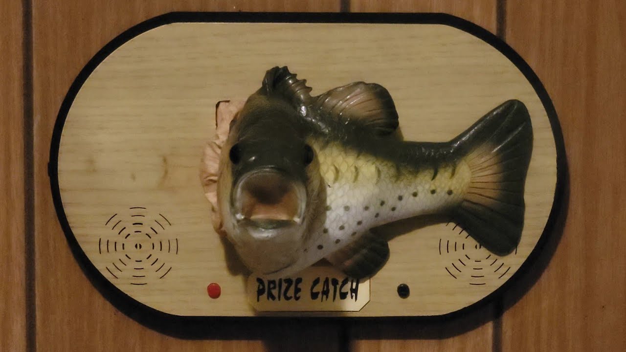 Prize Catch (singing fish) - YouTube