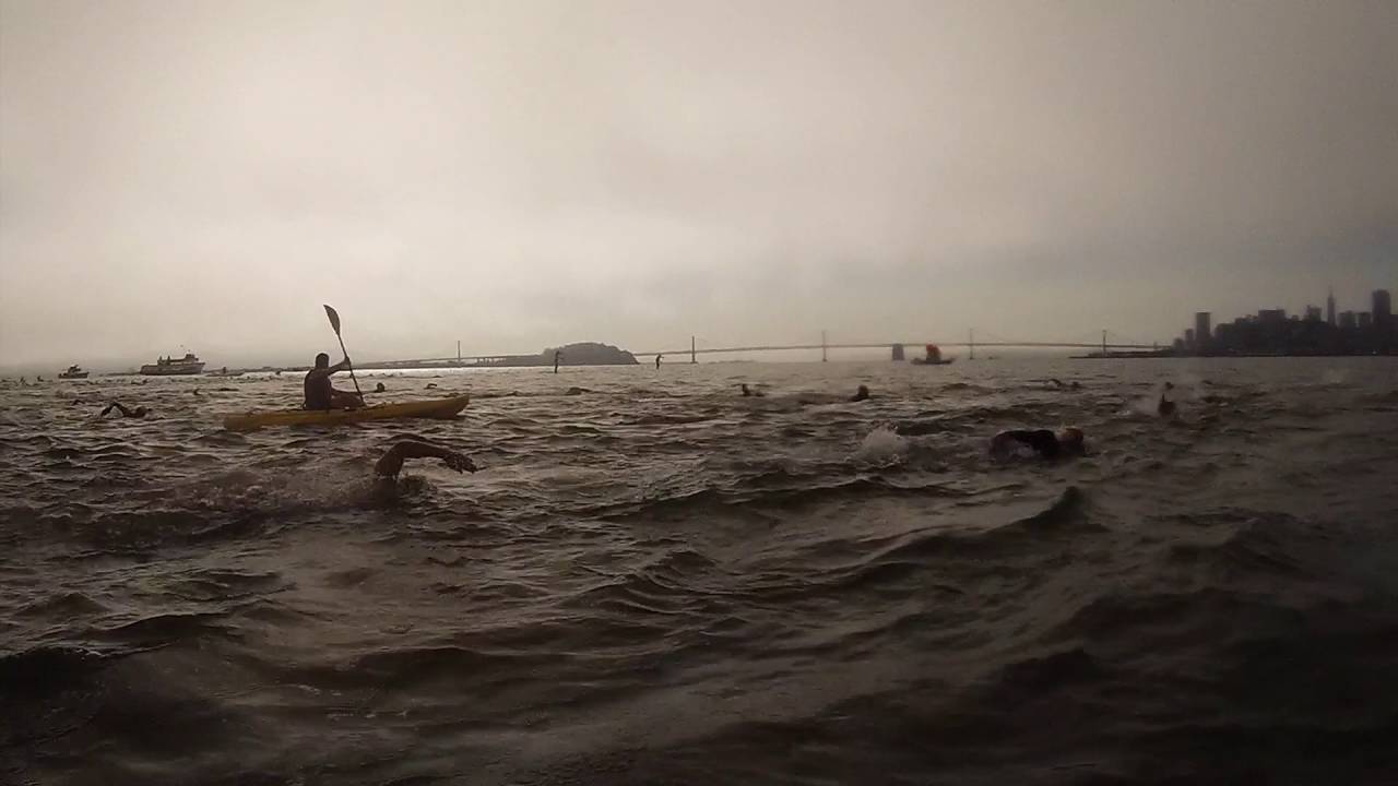 Alcatraz Sharkfest 2016 - YouTube