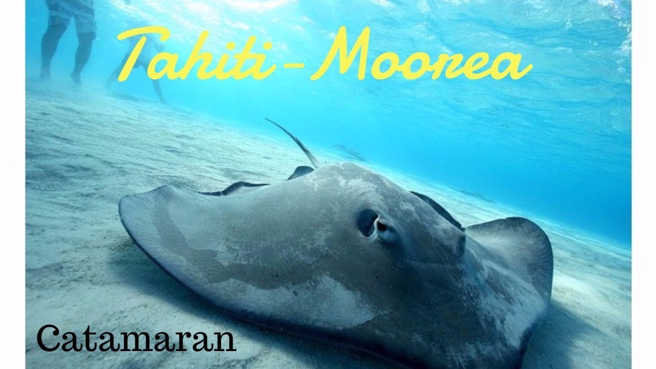 ***DE TAHITI A MOOREA EN CATAMARAN*** #Vlog1 / 4 - YouTube