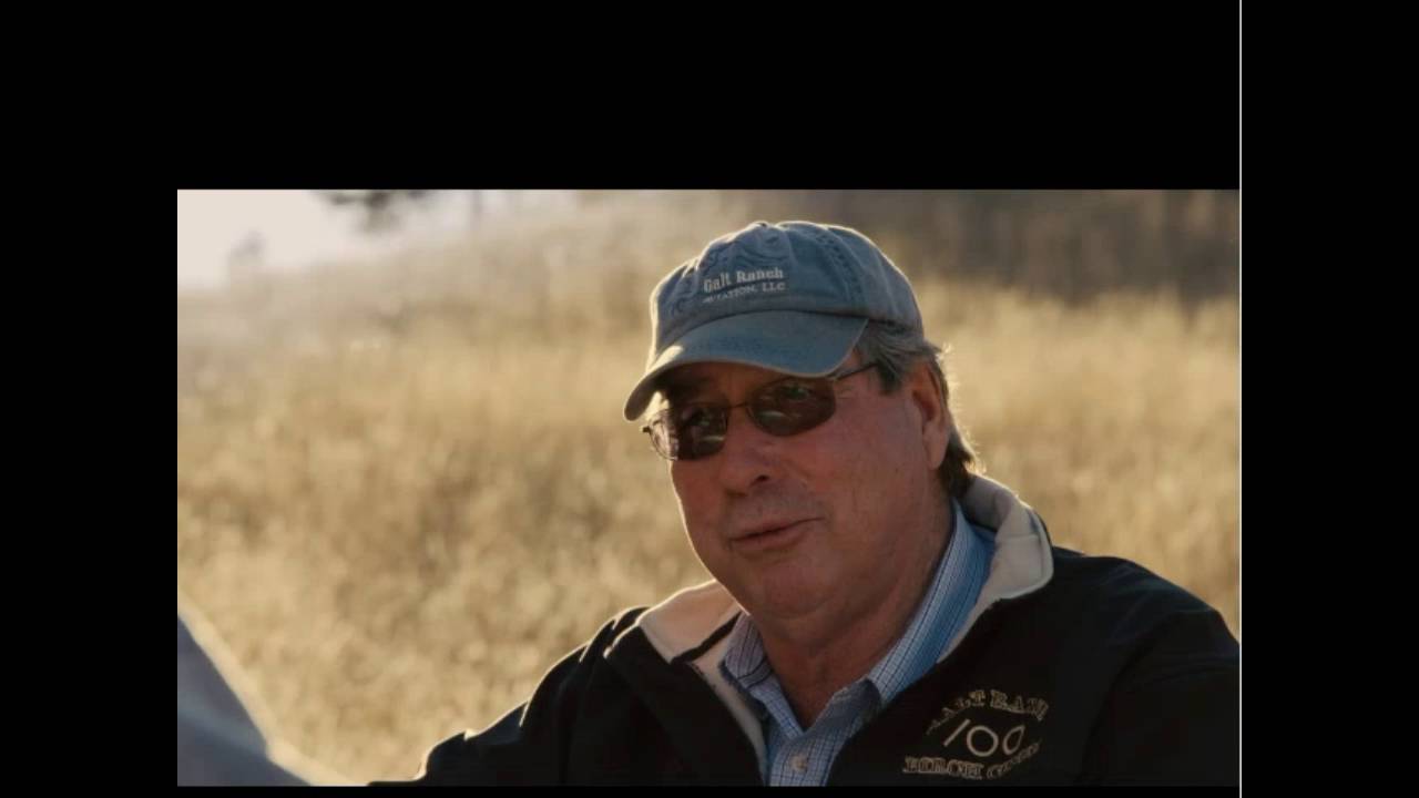 Bill Galt stream access thievery - YouTube