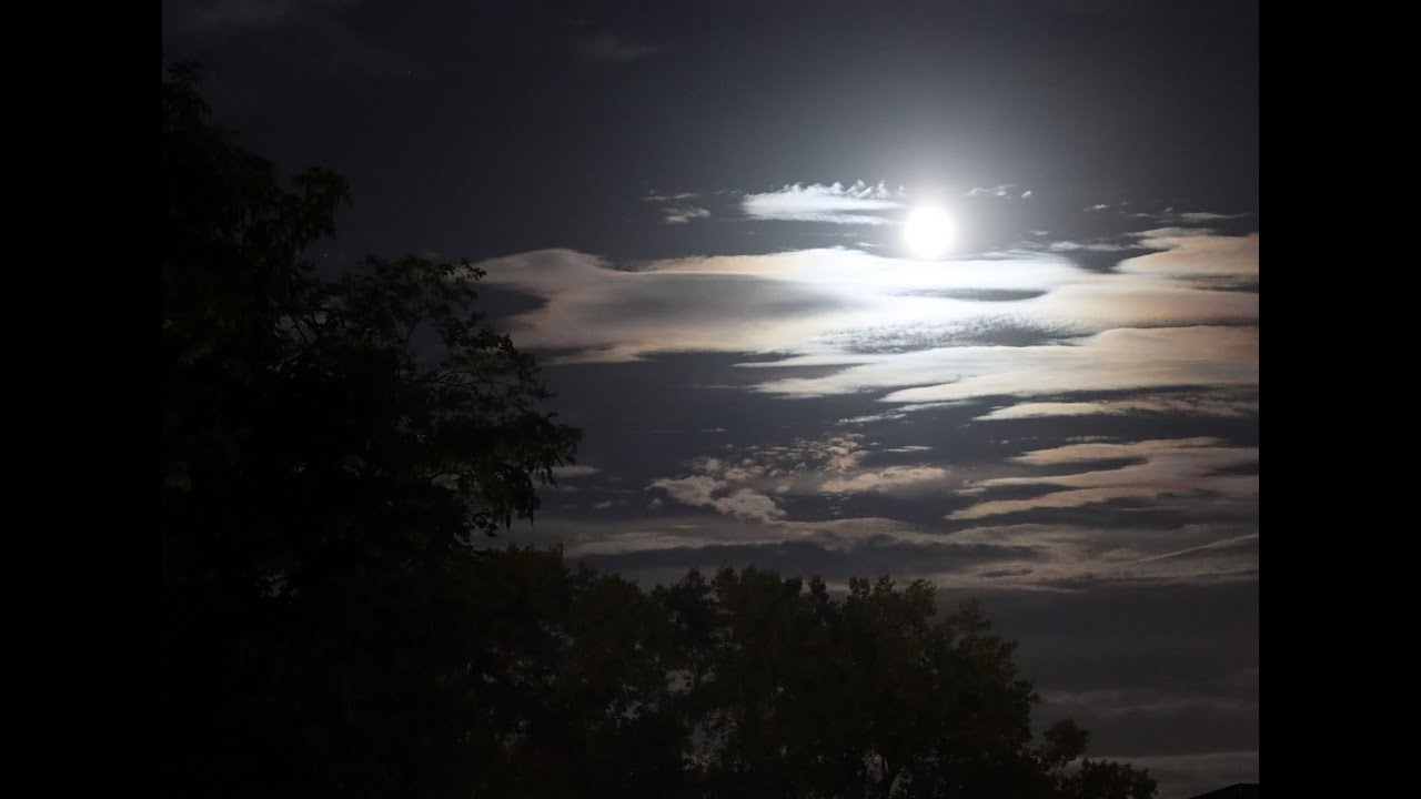 Amazing Full Moon Night Scene With Nature Sounds | Peaceful Ambience ...