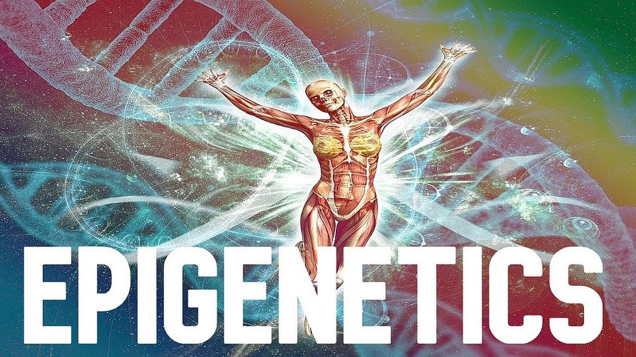 Epigenetics - YouTube