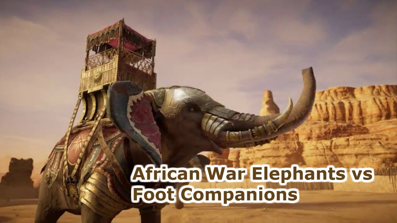 African War Elephants vs Foot Companions. Total War. Rome 2. Rome II ...