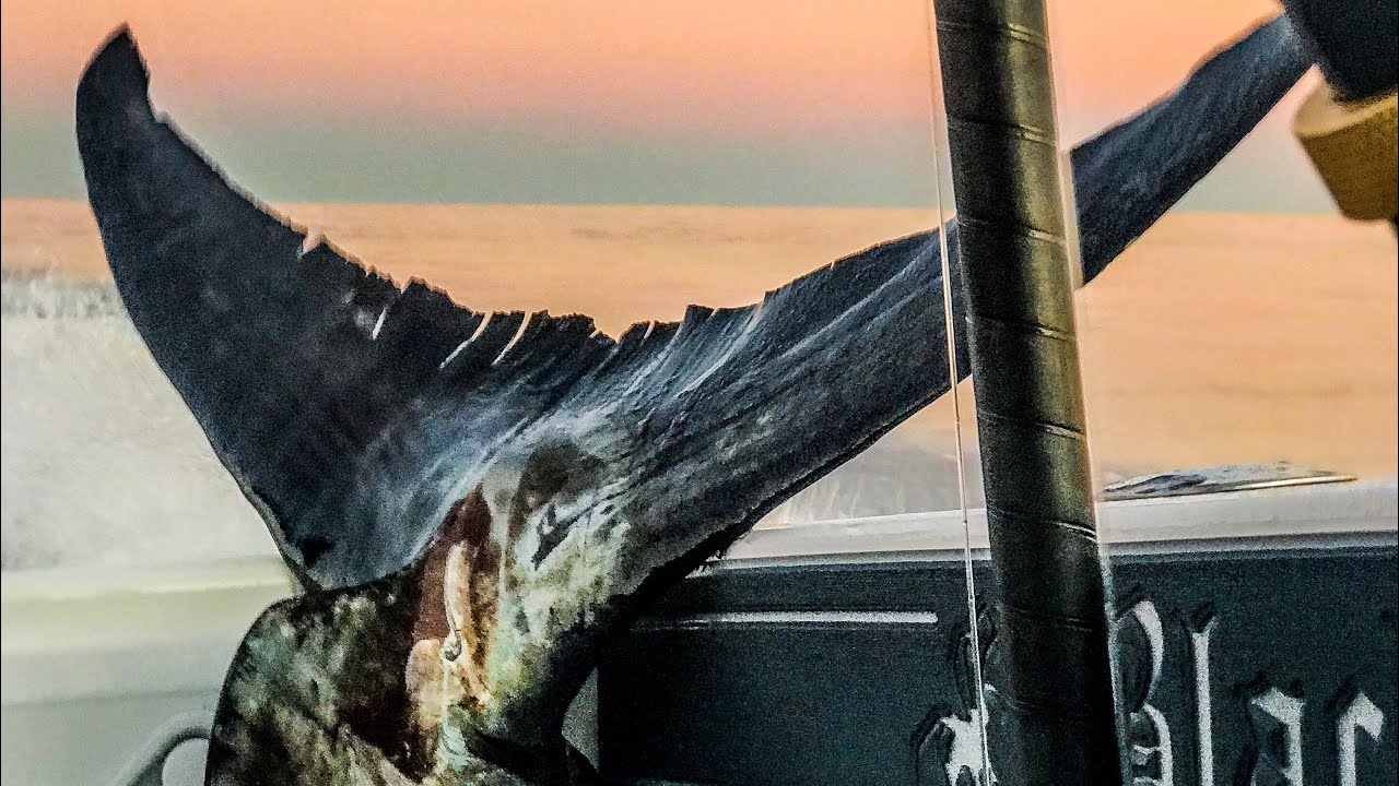 Hand cranking BIG daytime SWORDFISH in 1800ft (550m) of water - YouTube
