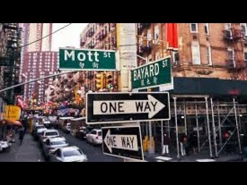 Venus Morgan DP #2 - YouTube