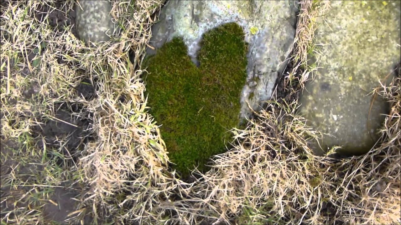 Nature Lovers - photos of natural heart shapes - Fair Isle. - YouTube