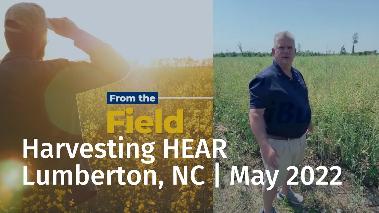 From the Field with Jeff Riddle - Harvesting High Erucic Acid Rapeseed ...