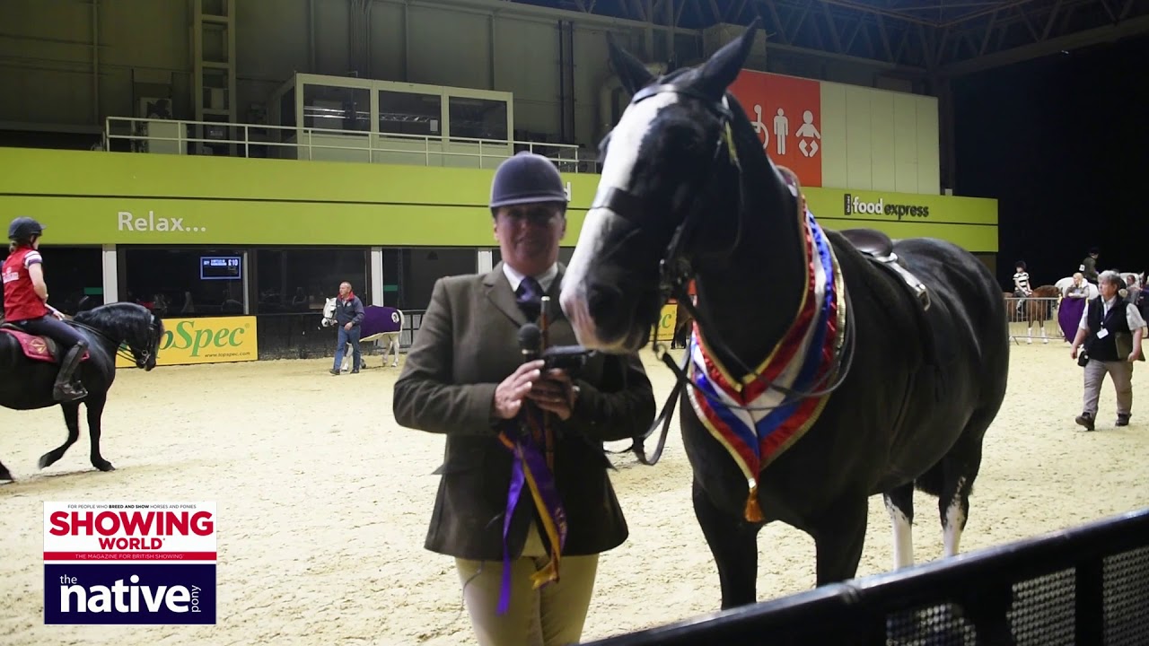 SEIB Search For A Star Show Cob Champion - YouTube