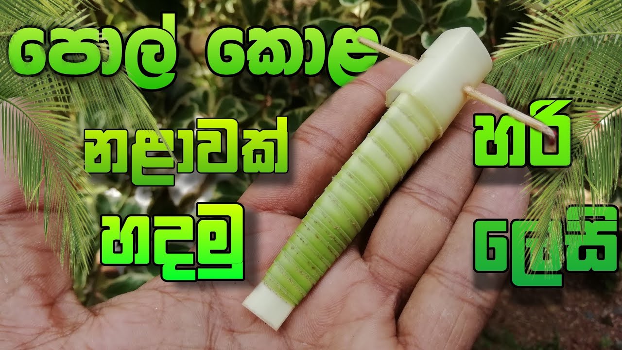 How to make Coconut horn | පොල් කොල නලාවක් හදාගන්නේ කොහොමද | Polkola ...