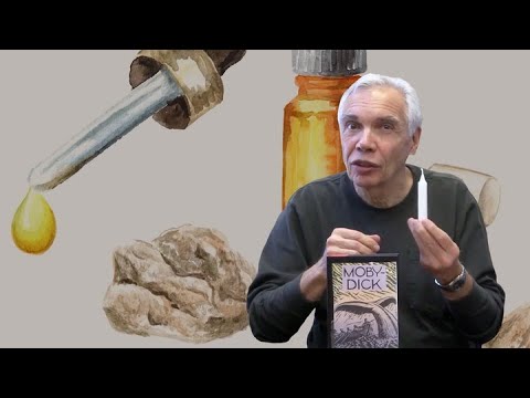 Dr. Joe Schwarcz discusses ambergris
