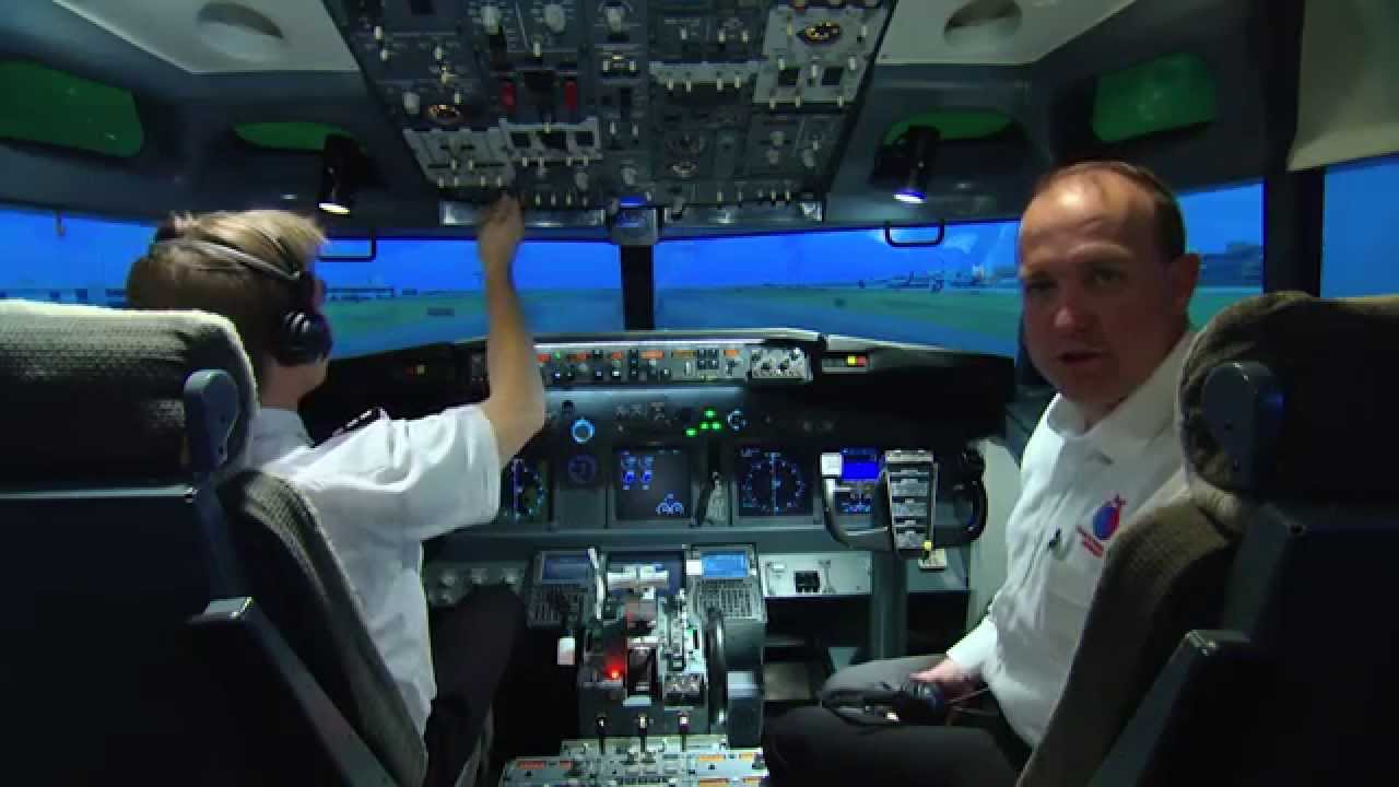 Air Horse Transport - Equine International Air Freight - YouTube
