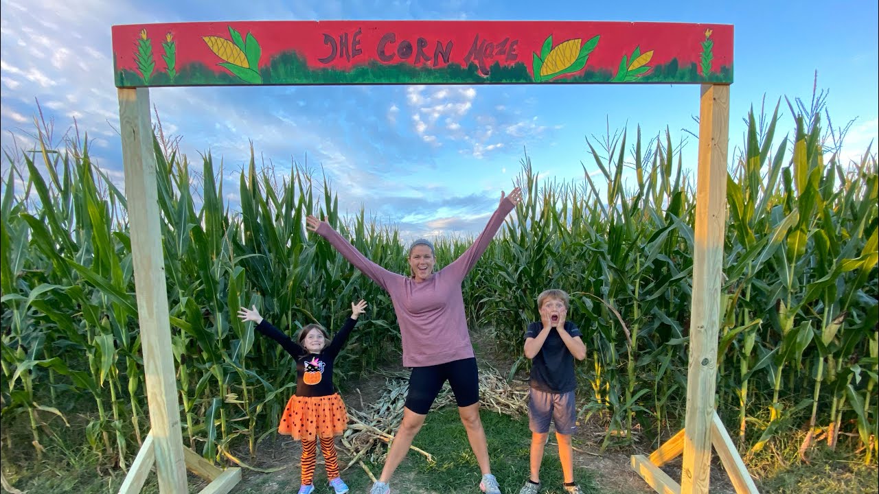 Our first corn maze reveal - YouTube