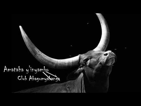 Amataha y'Inyambo (Lyrics) - Club Abagumyabanga