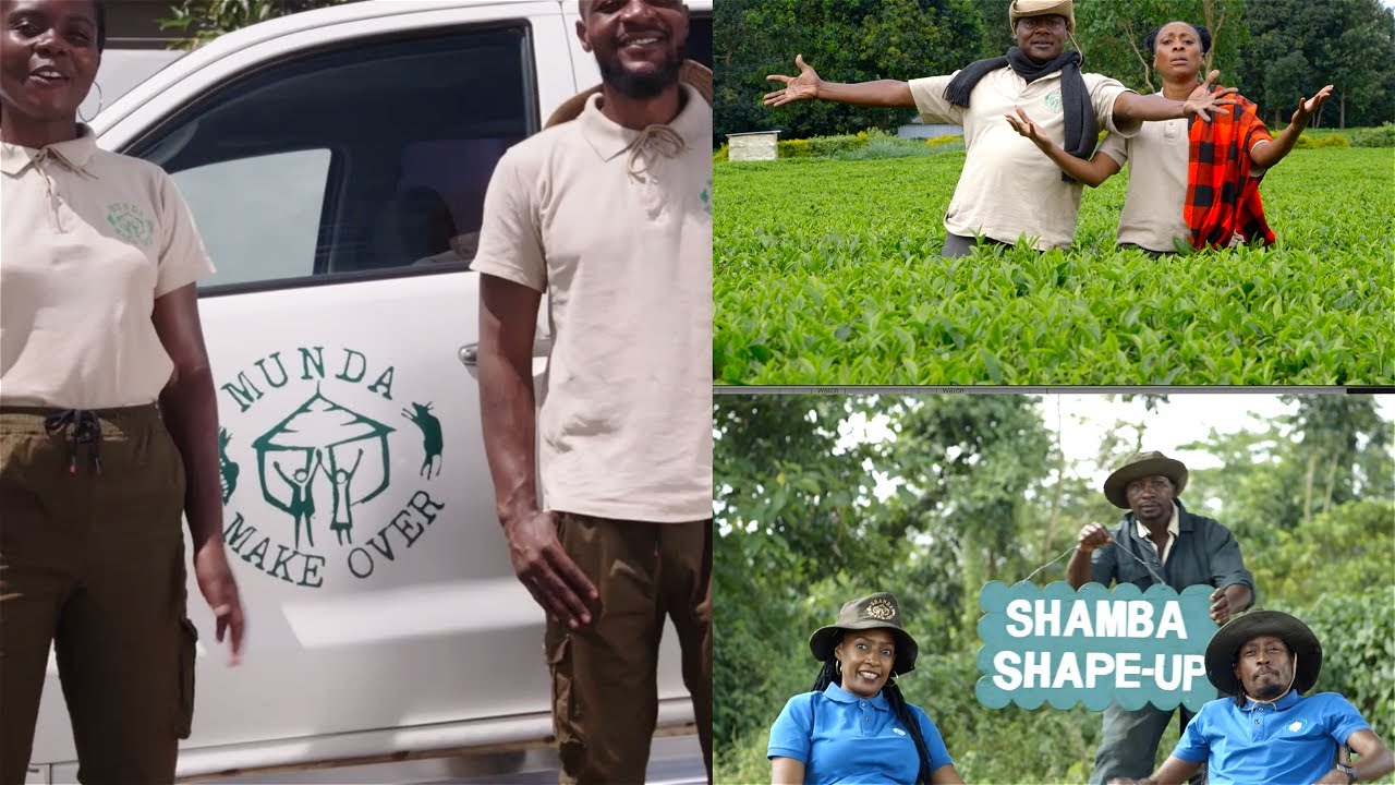 Shamba Shape Up Series 14 – Episode 14: Trees and Finance (Swahili ...