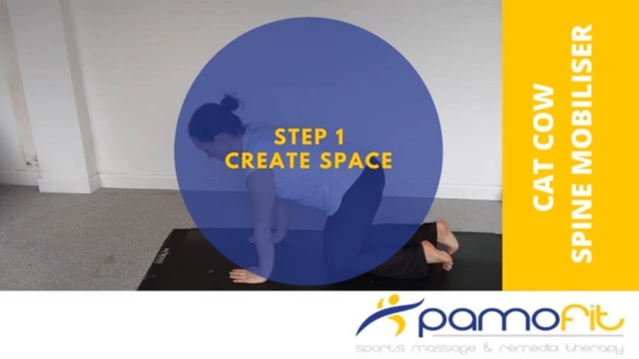 3 Step Fix Lower Back Pain - Create Space with the Cat Cow Mobiliser ...