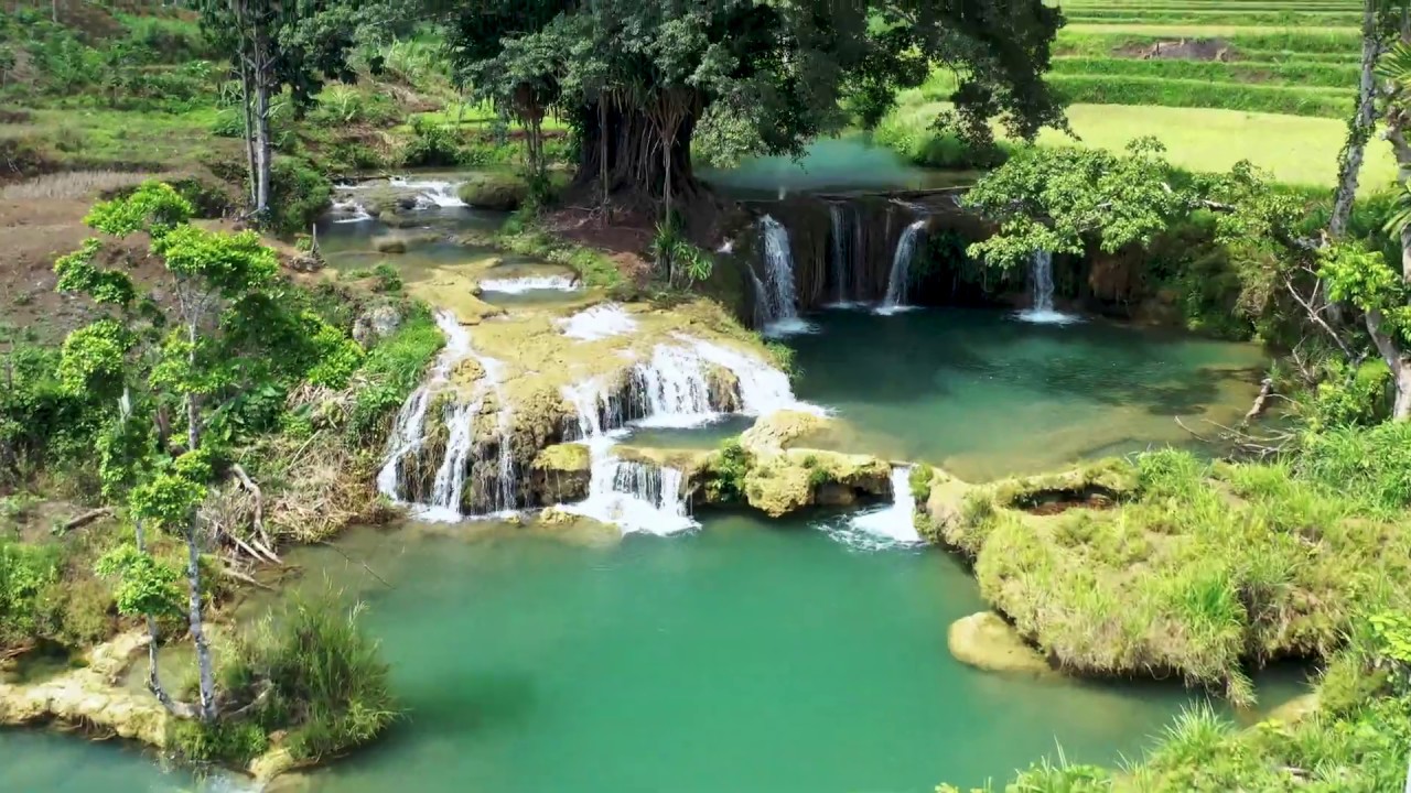 Weekacura Waterfall Sumba - Tree of Life - YouTube