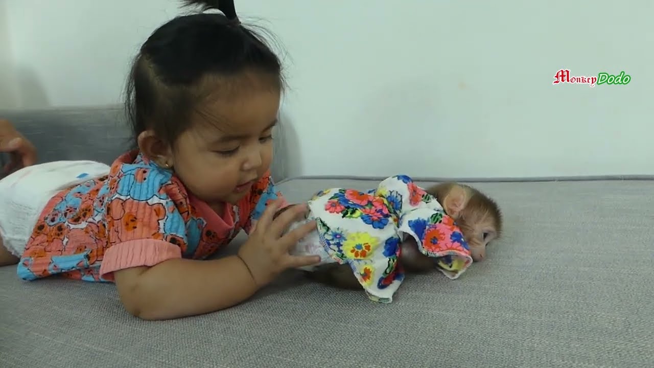 Tevy So Much Like To Play With Shusy But Shuy Sleepy & Not Want To Play - YouTube