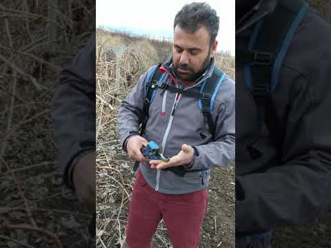 Hyundai şarzlı budama makası tanıtımı