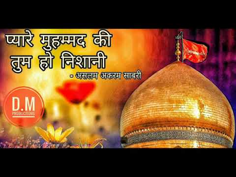 Pyare Muhammad ki tum ho nishani Qawwali | Aslam Akram Sabri Qawwali | Muharram Qawwali