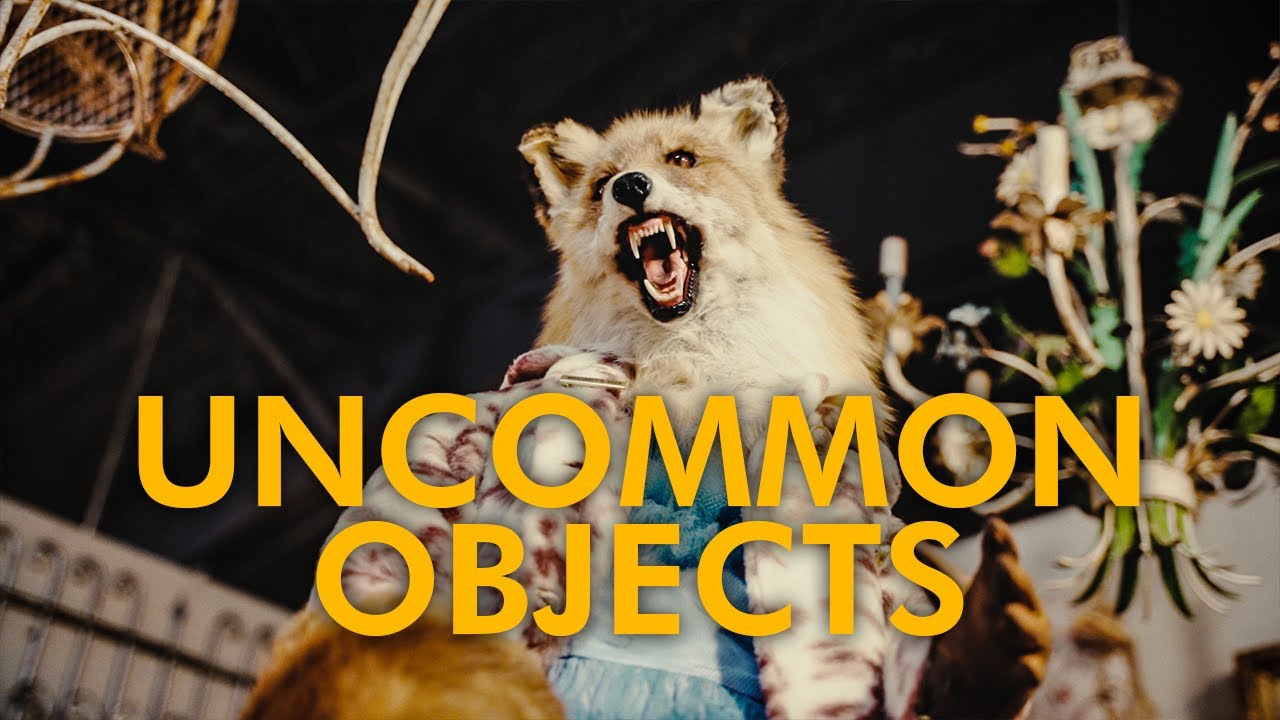 Weird Uncommon Objects in Austin, Texas - YouTube