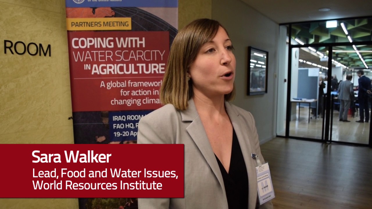 Interview with Sara Walker, Lead, Food and Water Issues, World ...