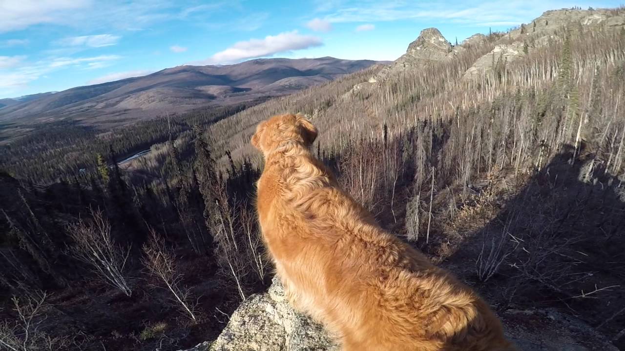 Epic GoPro Alaska: Angel Rocks is an Awesome Place to Hike and Fly your ...