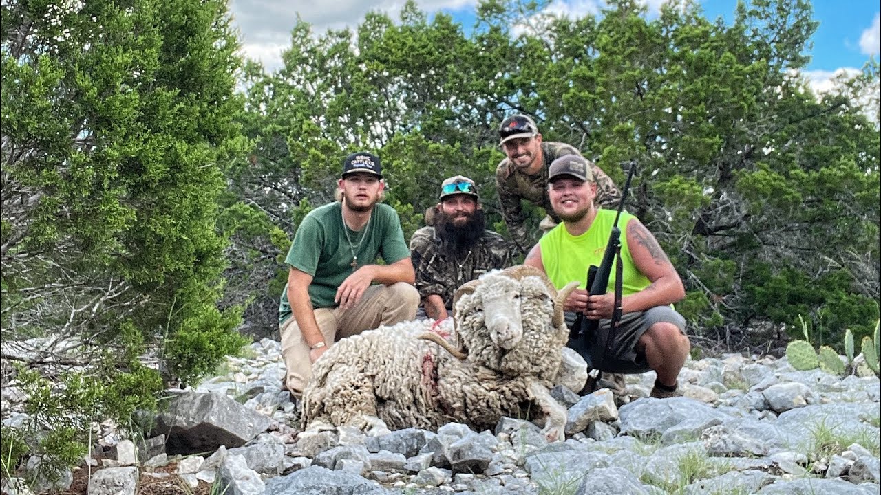 West Texas Ram Hunting - YouTube