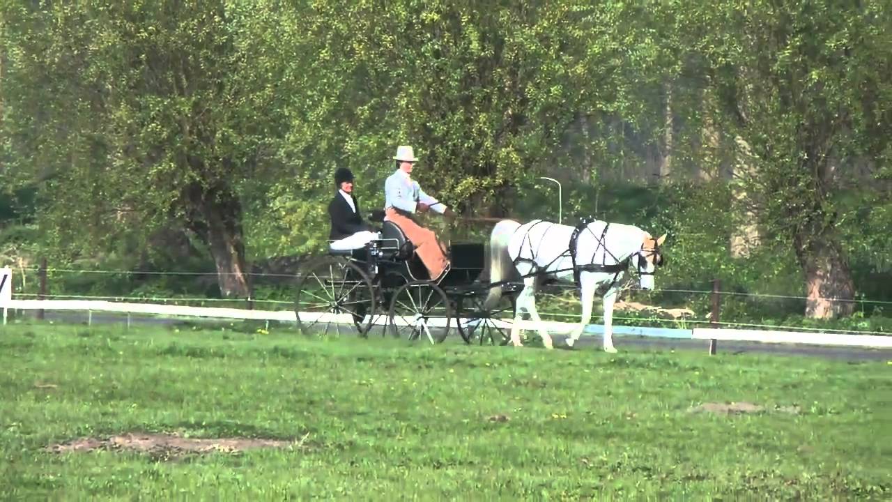 Bruges 2011 Dressage Nicolas Binet - YouTube