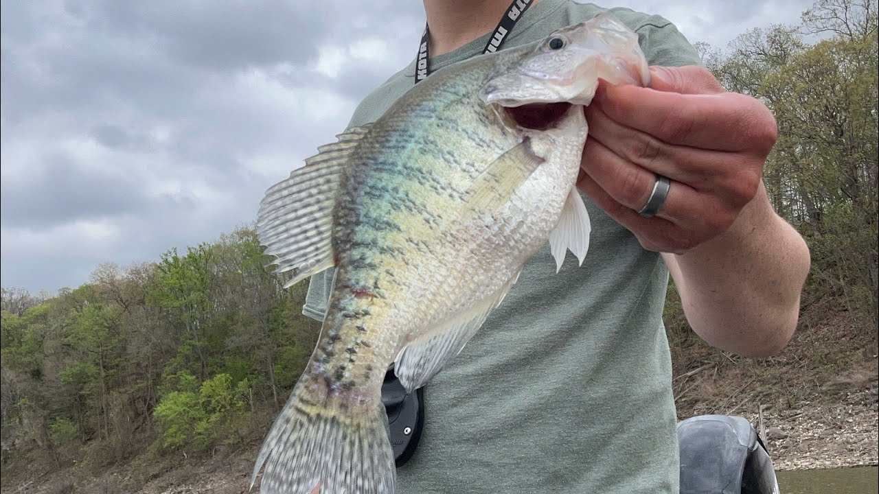 Pre Spawn Crappie Fishing - YouTube