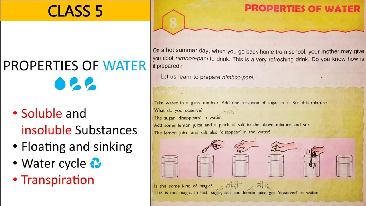 Properties of Water 💦 || Class 5 Science || DAV CBSE NCERT - YouTube
