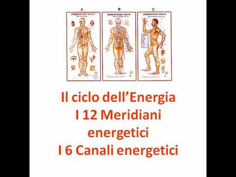 i 12 meridiani e i 6 canali energetici - YouTube